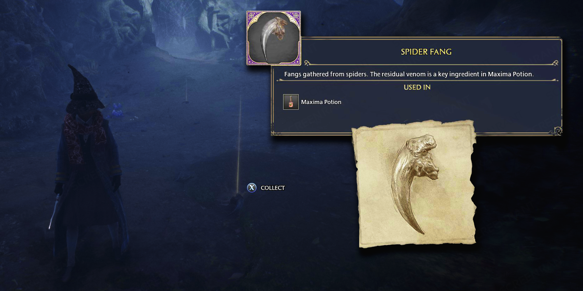 Hogwarts Legacy: Where To Get Spider Fang (Potion Ingredient)