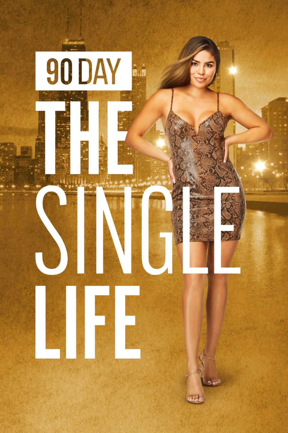 What Happened To Jeniffer Tarazona After 90 Day: The Single Life Season 2?