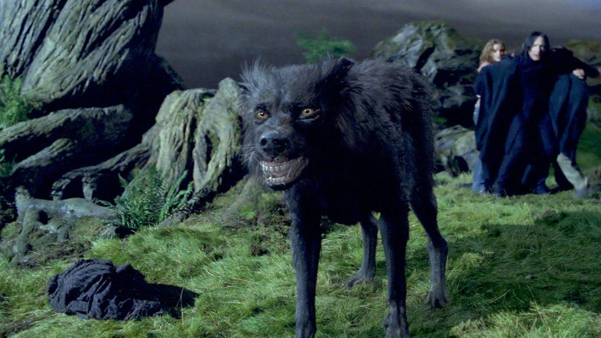 Harry Potter: Every Animagus Character (& Registry Status)