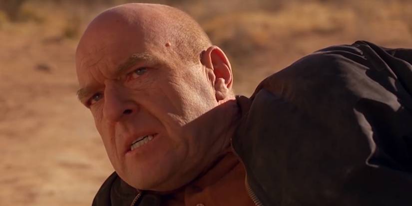 Breaking Bad Cast & Character Guide