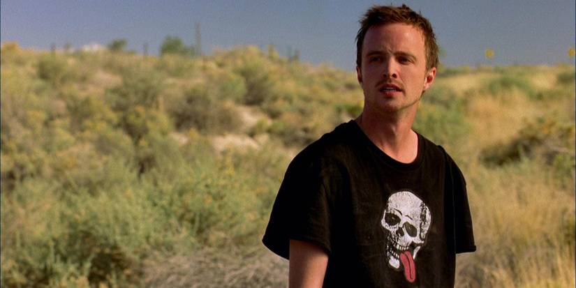 Breaking Bad Cast & Character Guide