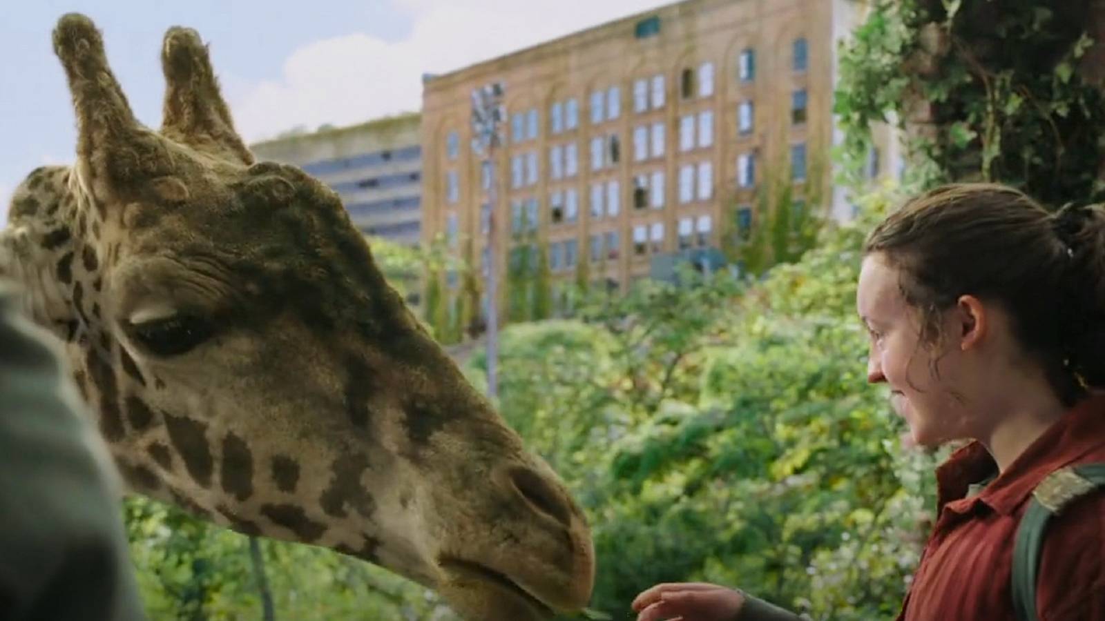 What That Giraffe Scene Really Means In The Last Of Us
