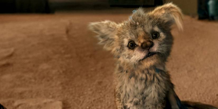 4 Ways The Chupa Movie Changes The Real Chupacabra Myth