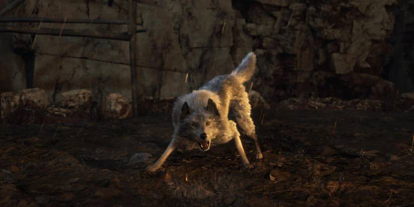What Happened To The Dog In Resident Evil 4 Remake?