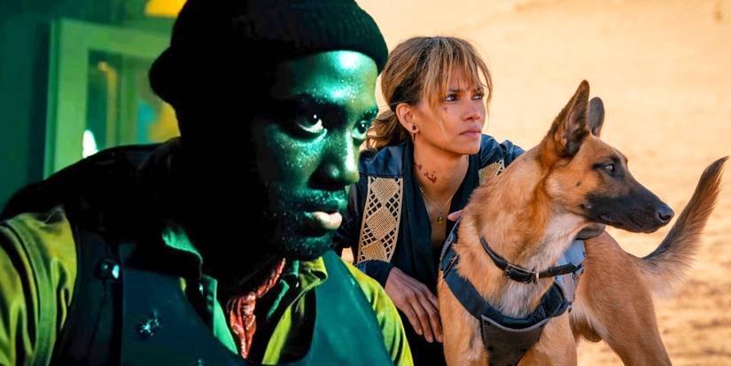 Mr. Nobody's Dog Was The Real Star Of John Wick 4