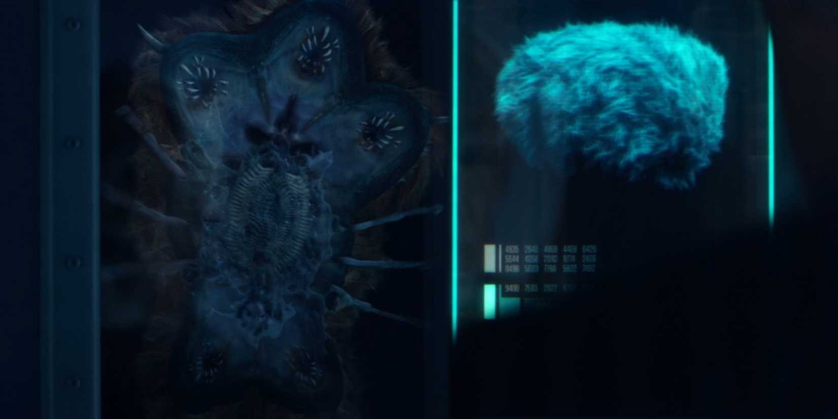 Tribbles Used To Be Cute & Cuddly Before Star Trek Changed Them