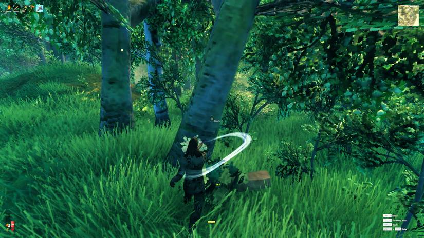 10 Things to Know Before Playing Valheim