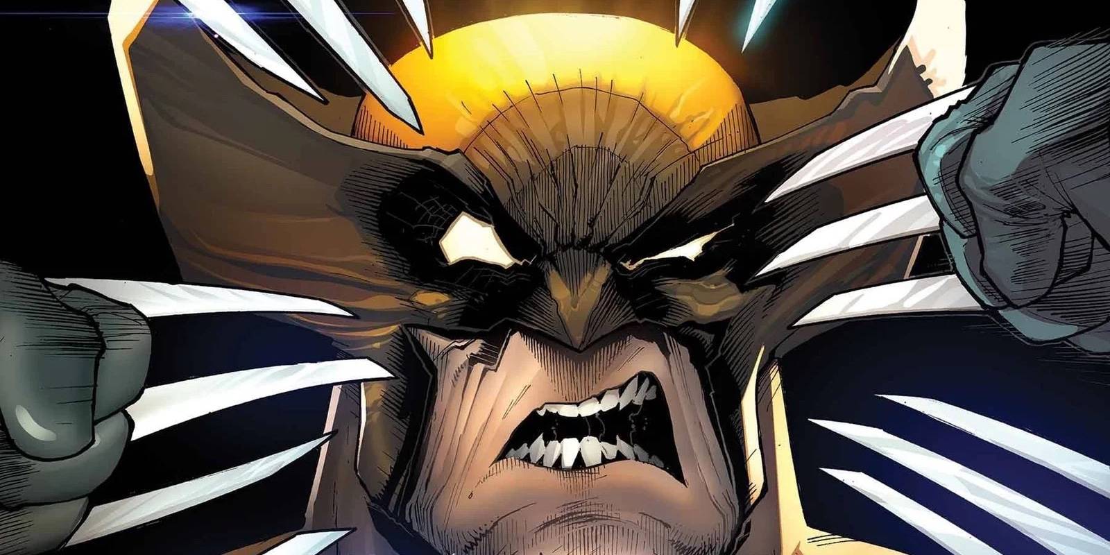 Marvel's New Wolverine Debuts a Power Logan Can Only Dream of