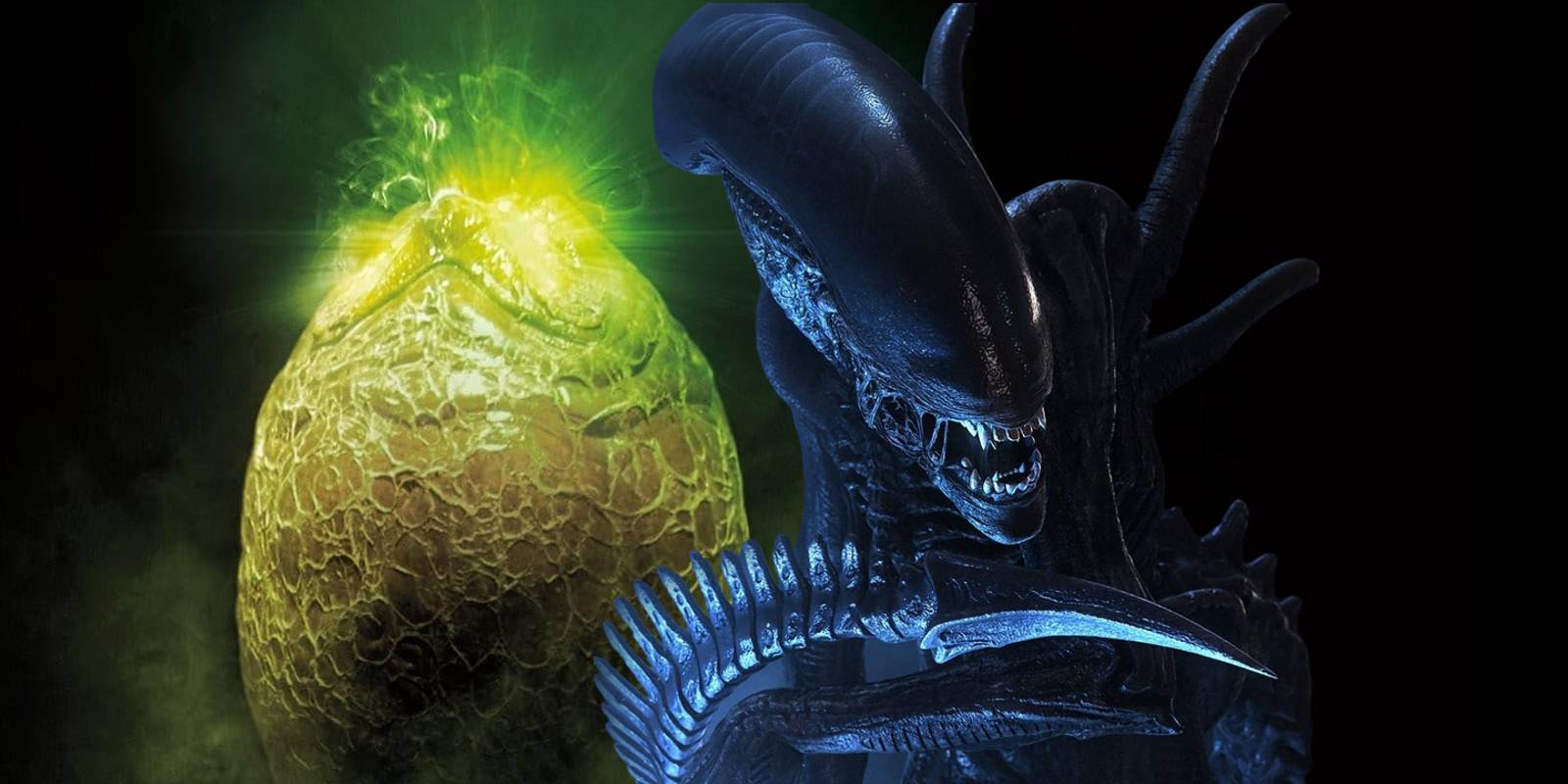 New Alien Movie Synopsis Teases Return To Franchise Roots