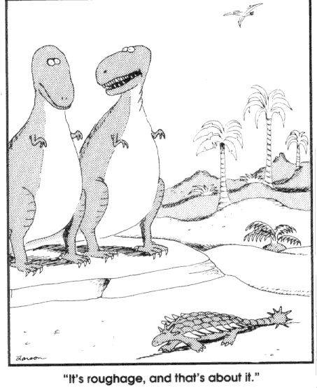 10 Best Far Side Comics About Dinosaurs