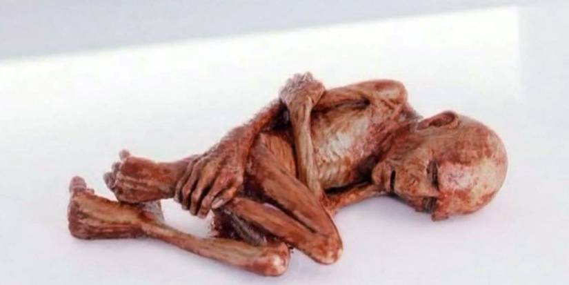 11 Harry Potter Scenes We're Surprised Made It Into The Movies