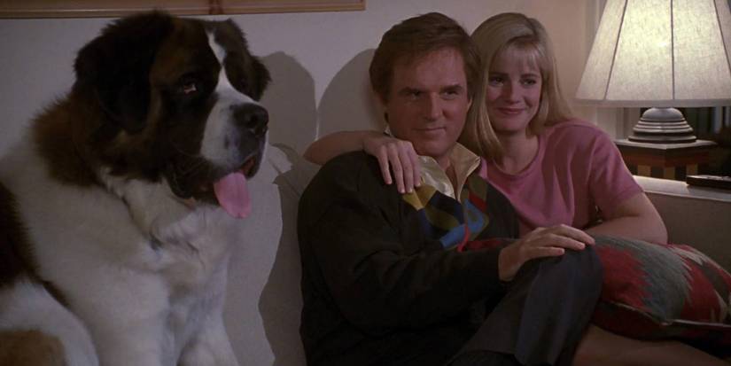 10 Great Live-Action Movies Starring Animals