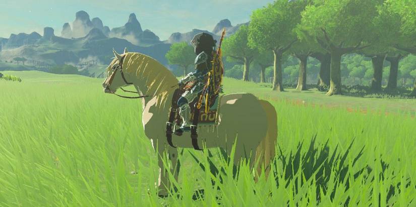 Breath Of The Wild’s 10 Best Hidden Details You Might've Missed