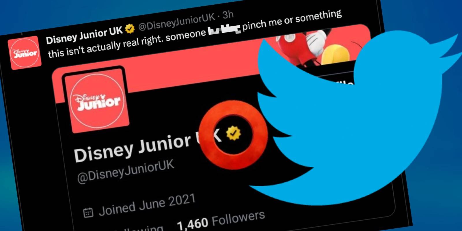 Disney Jr UK Twitter Troll Exposes Gold Checkmark Loophole Without ...