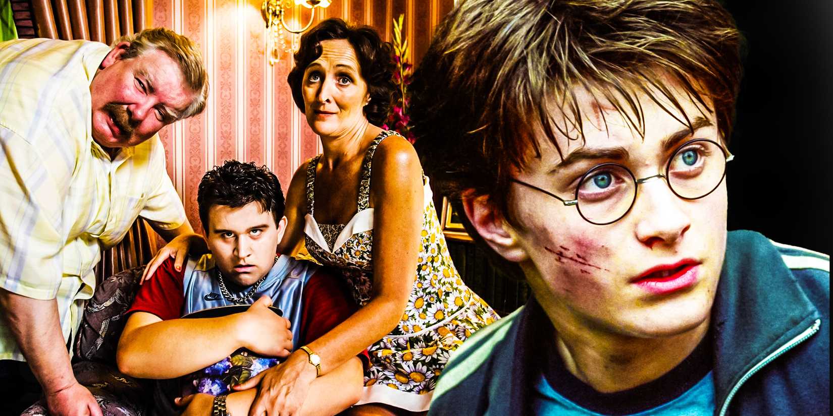 Harry Potter's Biggest Dudley Mystery Missed An Opportunity To Improve ...