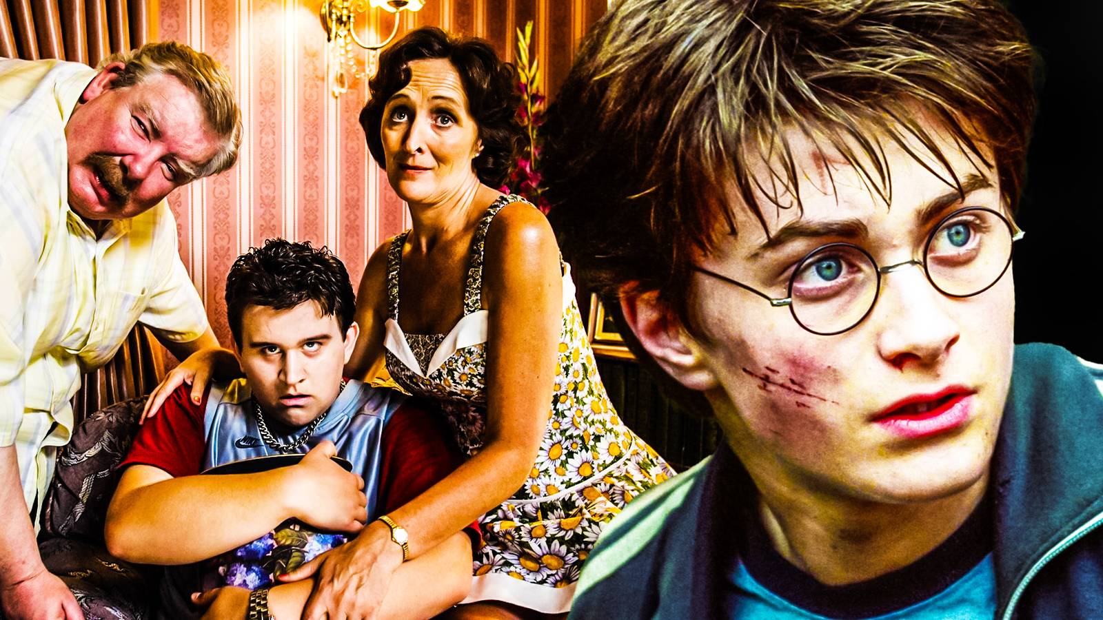 Harry Potter: 10 Things Only Book Fans Know About The Dursleys