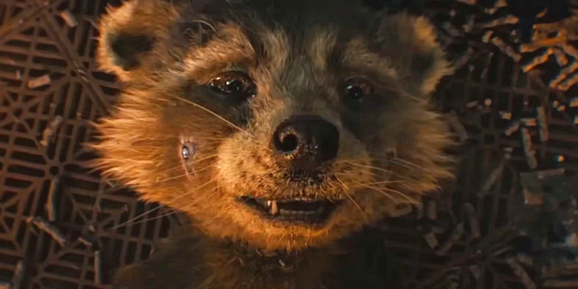 Rocket's Childhood Friends Explained: Comic History & Importance To ...