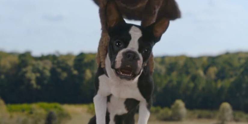 How Raunchy Is Strays? Does Will Ferrell's Movie Earn Its R-Rating?