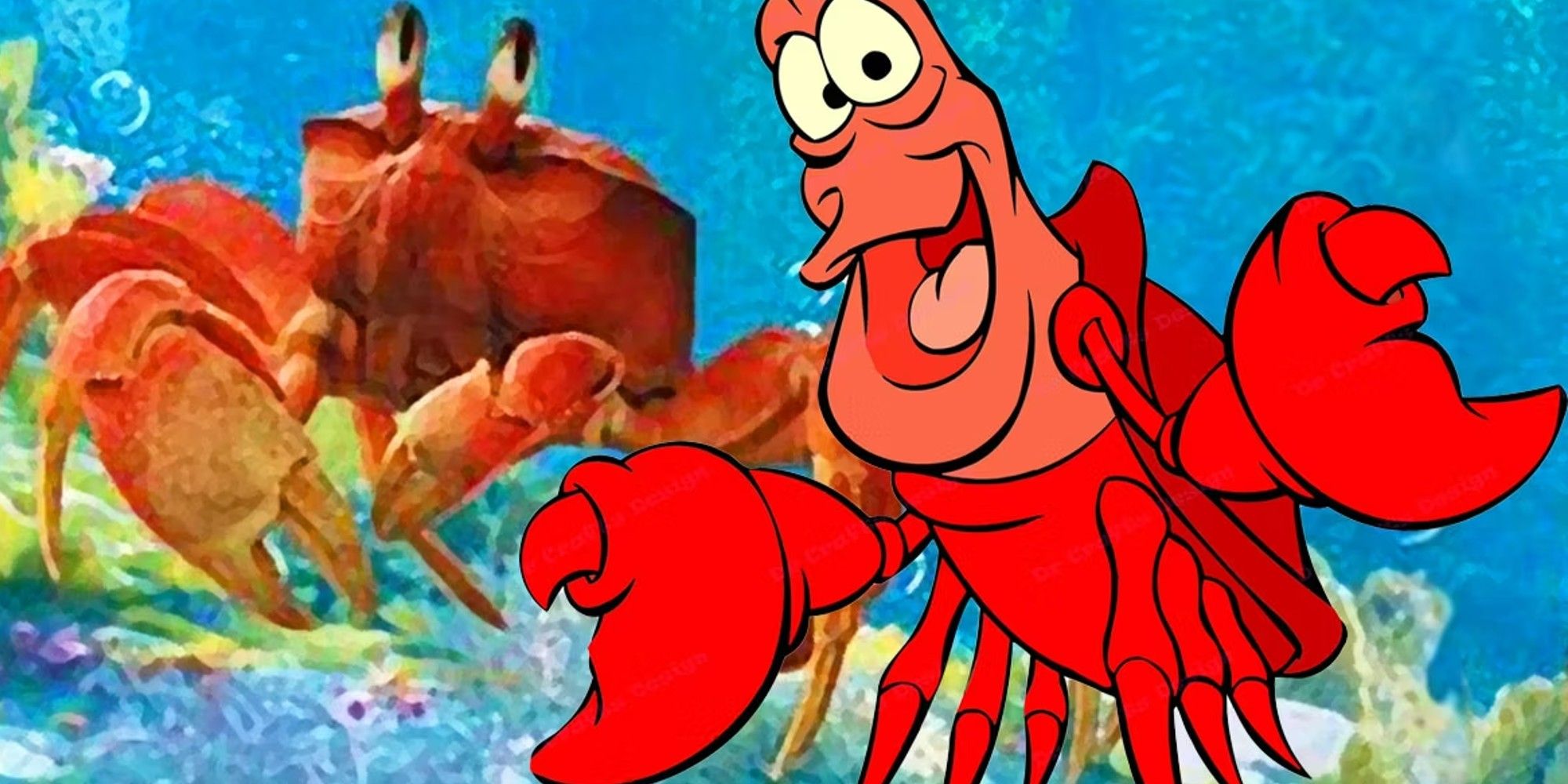 The Little Mermaid's Attina & Ariel's Six Sisters Explained