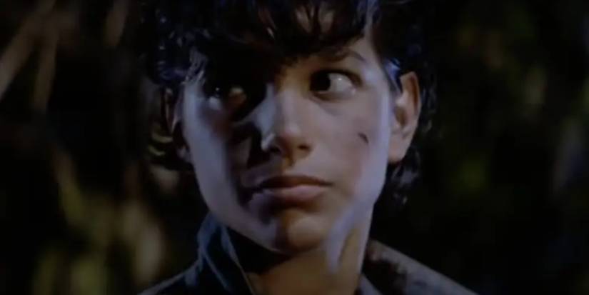 The Outsiders: Where You Recognize The Cast From