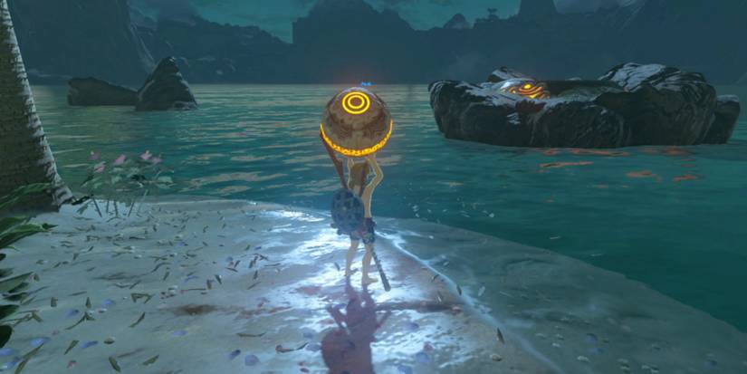 10 Best BOTW Shrine Puzzles That Need To Return In Tears Of The Kingdom