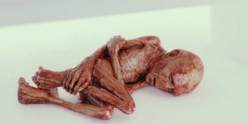 Harry Potter & The Deathly Hallows: Baby Voldemort, Explained