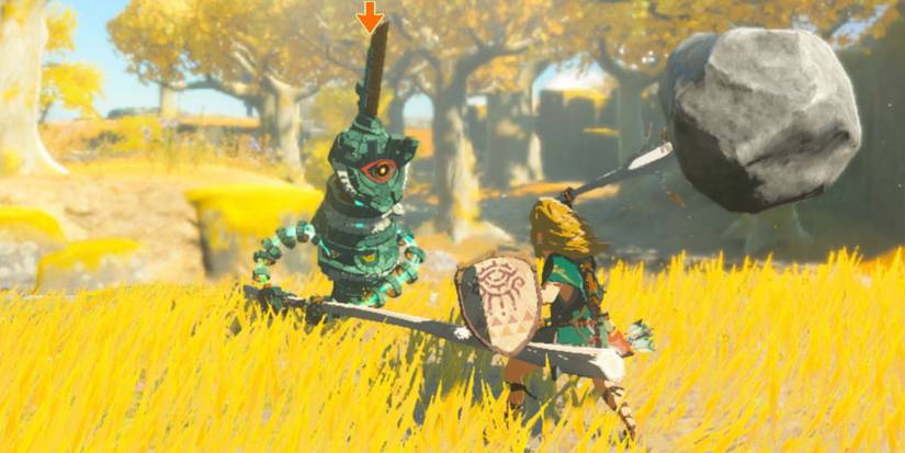 Tears of the Kingdom: 10 Biggest Gameplay Differences & Improvements ...