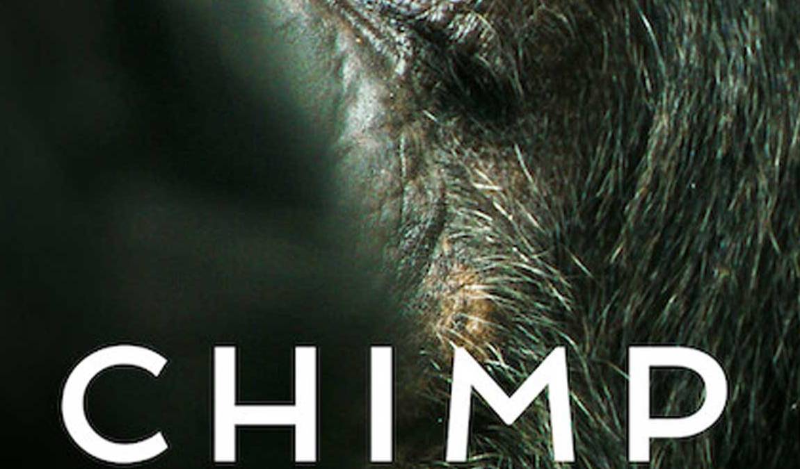 Chimp Empire Summary, Trailer, Season List, Cast, Where to Watch and More