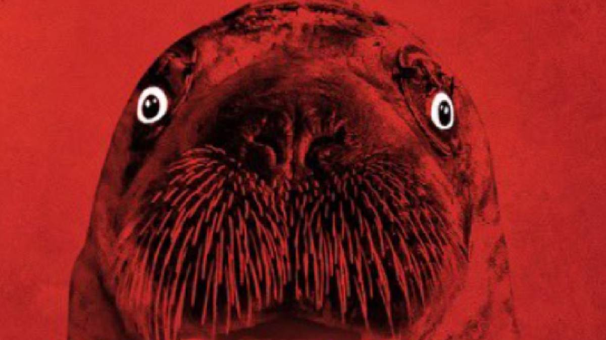 GOTG Vol. 3's Teefs Reimagined As Kevin Smith's Bizarre Horror-Comedy ...