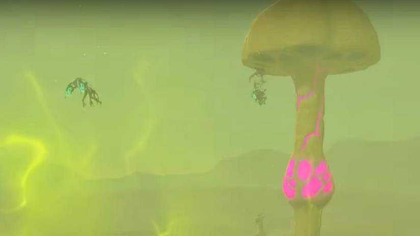 Zelda: Tears of the Kingdom - 10 Rarest Enemies & Where To Find Them