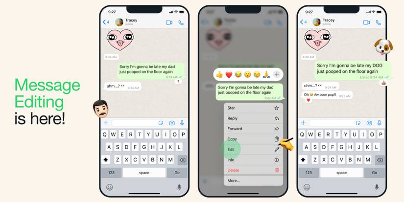 How To Edit WhatsApp Messages After Sending (& Why It Isn't Working)