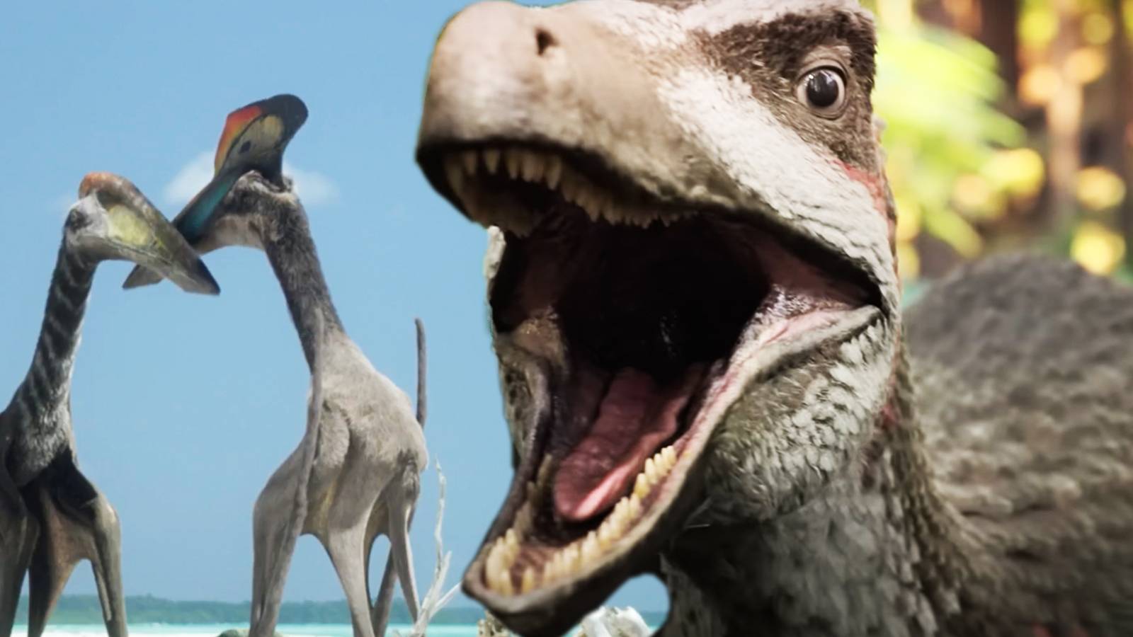 Pterosaurs Dance For A Mate In Prehistoric Planet Season 2 Clip [EXCLUSIVE]