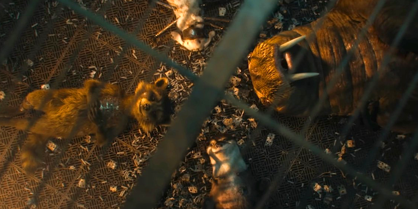 20 Best Quotes From The MCU's Guardians Of The Galaxy Trilogy