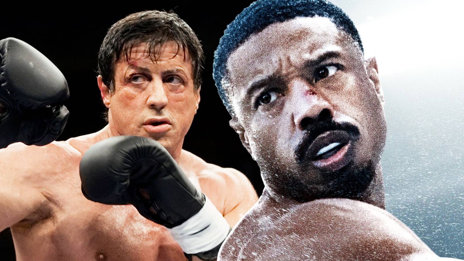 Sylvester Stallone's Favorite 2 Rocky Movies Show Why Creed Is The ...