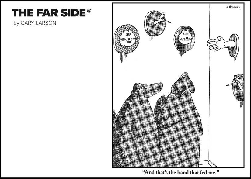 10 Funniest Far Side Comics That Somehow Found the Funny Side of Fossils