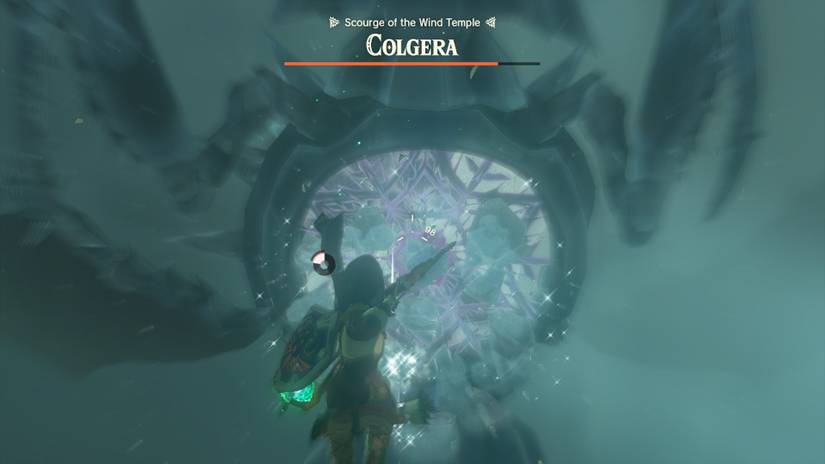 How To Beat Colgera In Zelda: TOTK (Wind Temple Boss)