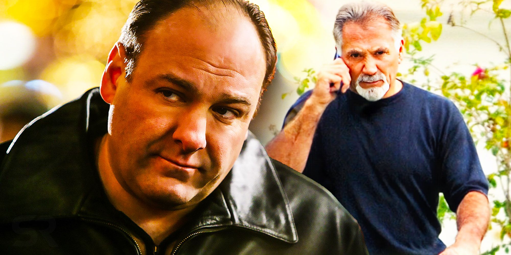 All 8 Characters Tony Kills In The Sopranos (& Why)
