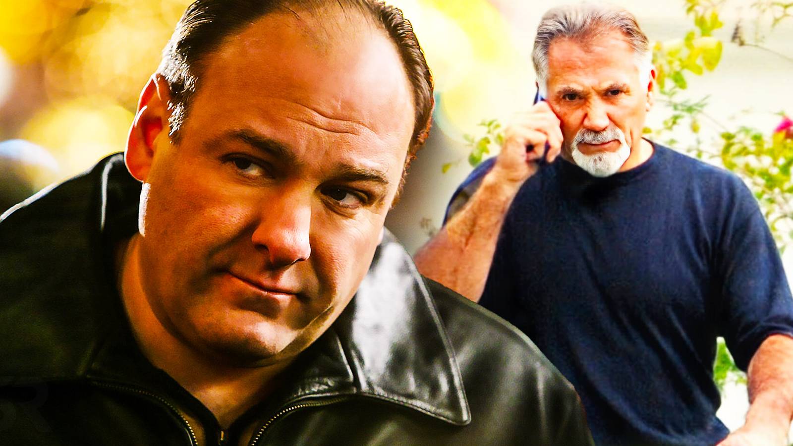 The Sopranos True Story: The Real-Life Mob Boss Who Inspired Tony Soprano