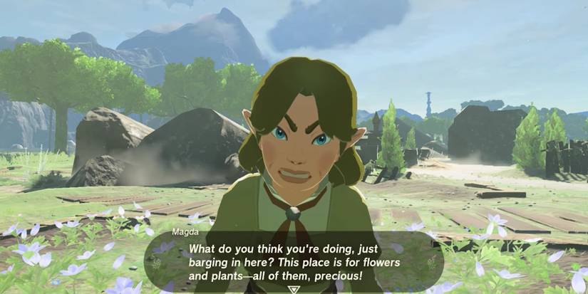 Zelda: TOTK - 10 Best NPCs From BOTW & What They’re Doing Now