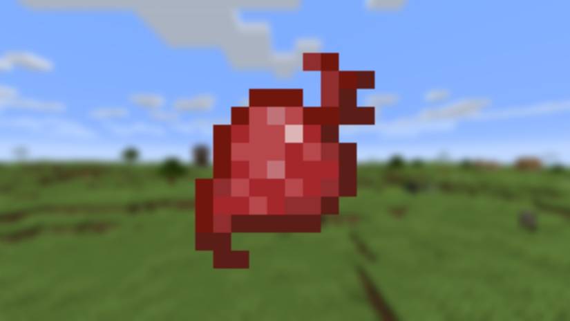 10 Best Crops To Farm In Minecraft