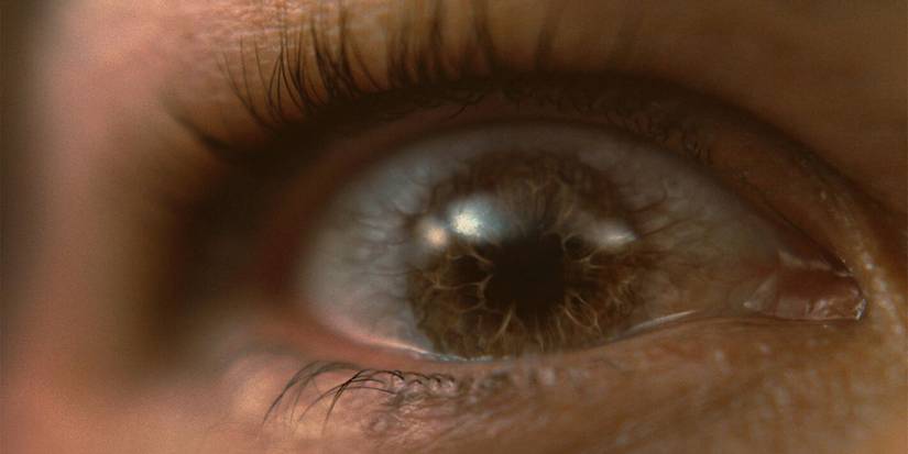 Bird Box Barcelona Ending Explained - Sebastian’s Fate & How The Movie ...