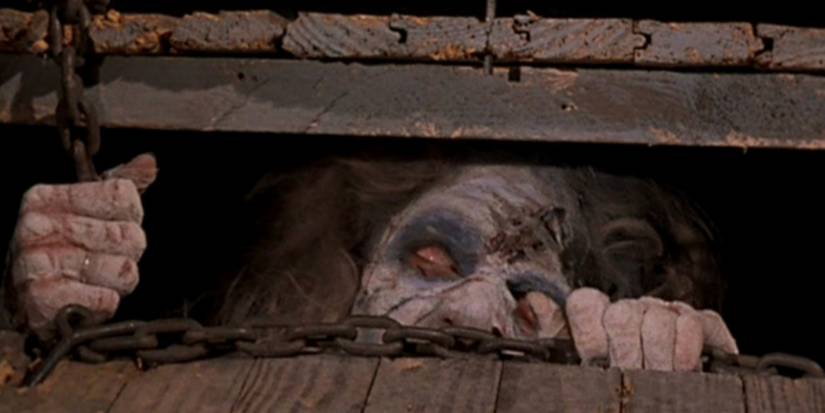 The 20 Grooviest Quotes From Sam Raimi’s Evil Dead Trilogy