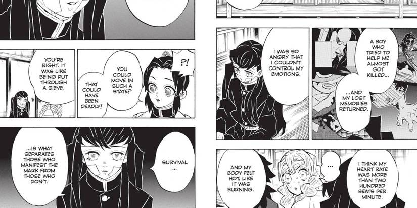 Demon Slayer's Ultimate Power Up - The Demon Slayer Mark Explained