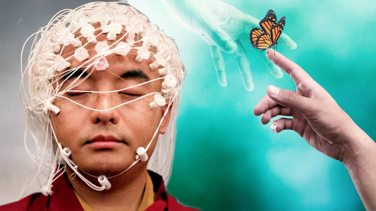 25 Existential Documentaries To Watch If You Like Netflix's Surviving Death