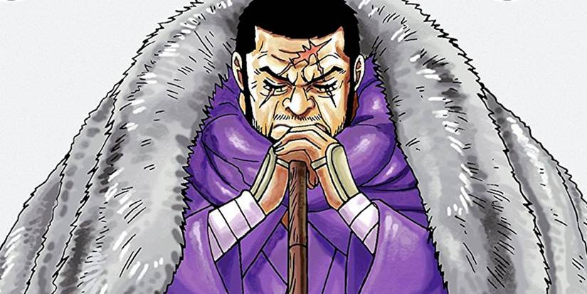 One Piece Confirms Another Admiral Has Betrayed the World Government