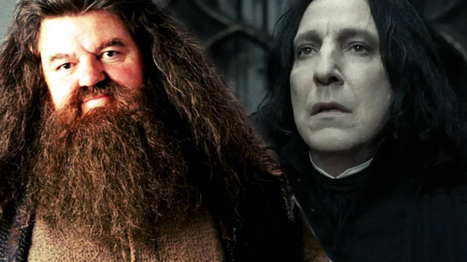 10 Harry Potter Side Stories That Deserve Full Episodes In HBO's Remake