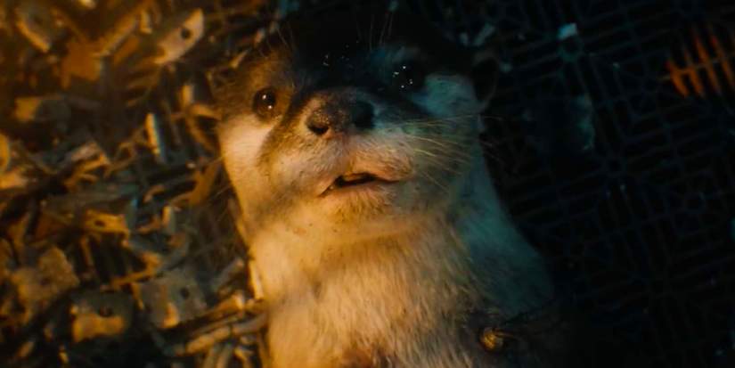 Rocket Wasn't The High Evolutionary's Only Success: GOTG 3 Theory Explained