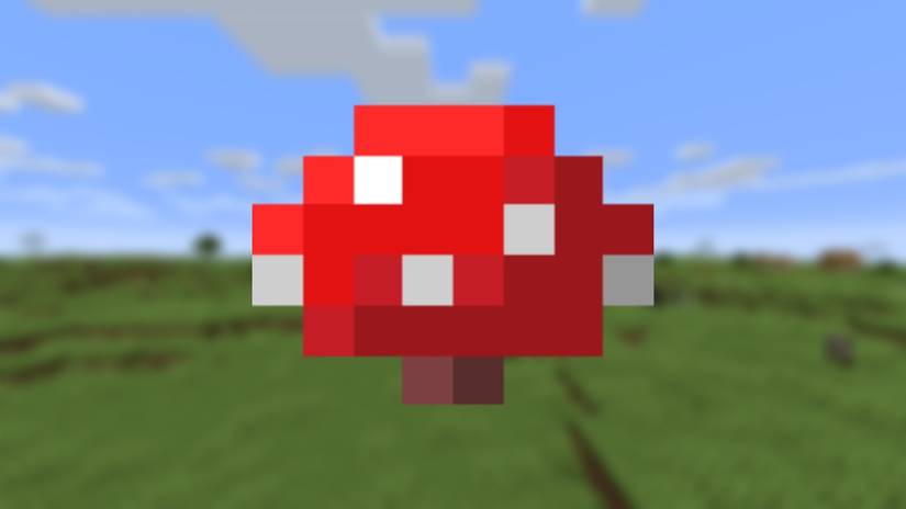 10 Best Crops To Farm In Minecraft
