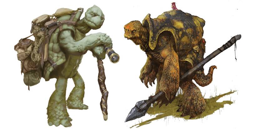 10 D&D Races Everyone Should Play At Least Once