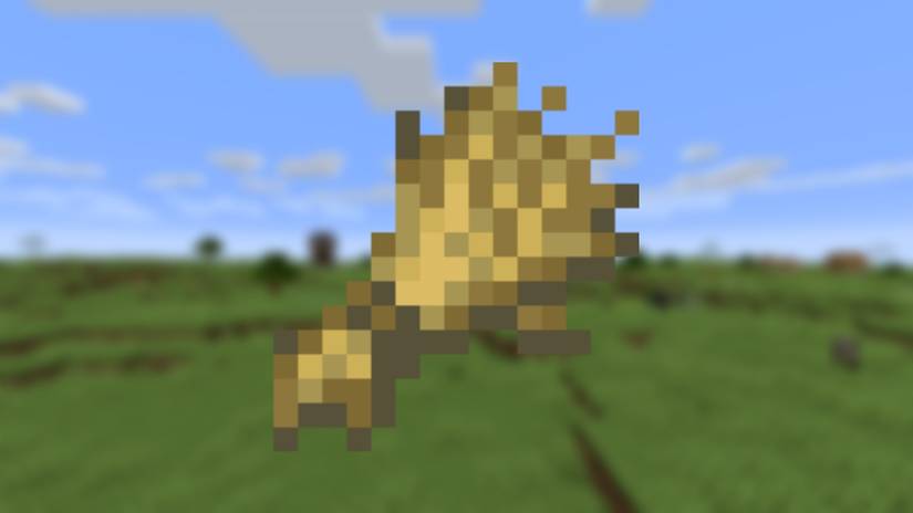 10 Best Crops To Farm In Minecraft